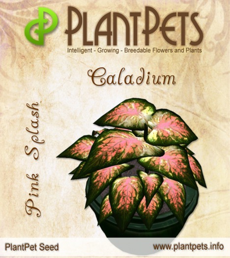 Second Life Marketplace - Plantpet Seed Caladium Pink Splash
