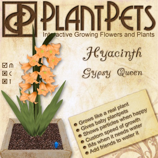 Second Life Marketplace - PlantPet Seed [Hyacinth *Gypsy Queen*] - Rare ...