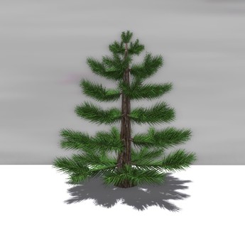 Second Life Marketplace - .:GBH:. Realistic mesh pine tree with shadow