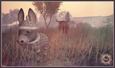 Second Life Marketplace - Jinx : Winter Warmers for Ickle Donkey