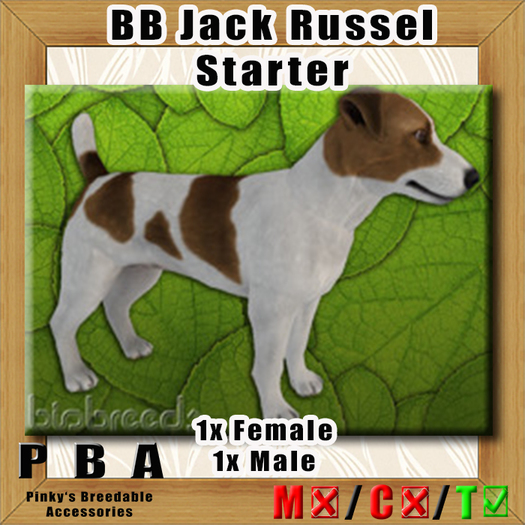 Second Life Marketplace - BB Jack Russel Starter
