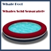 Second Life Marketplace - FUNSIES INTELLIGROW TOY - WHALE POOL