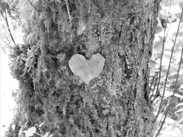 Second Life Marketplace - heart tree