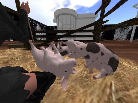 Second Life Marketplace - Animated Pigs in a Pen with sit animations-crate
