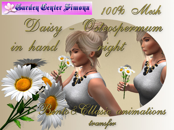 Second Life Marketplace - Daisy in right hand Bento&Classic animations ...