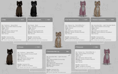 Second Life Marketplace - KittyCatS Box - Australian Mist Light ...