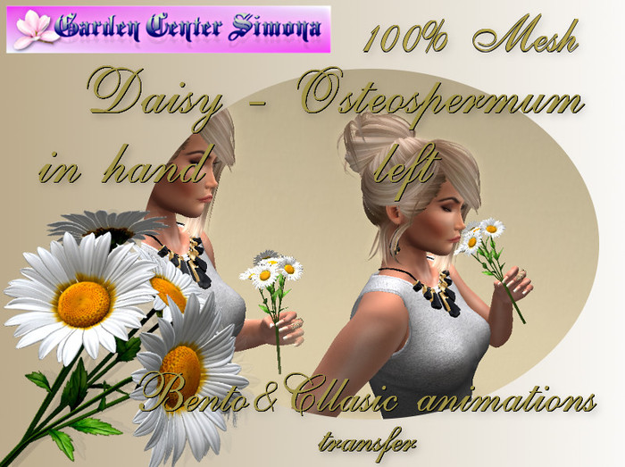 Second Life Marketplace - Daisy in left hand, Bento&Classic animations ...