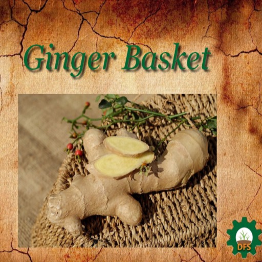 Second Life Marketplace - DFS Ginger Basket