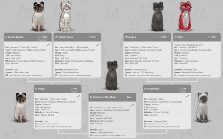 Second Life Marketplace - KittyCatS Box - Tonkinese Blue Mink Tortie/3T ...