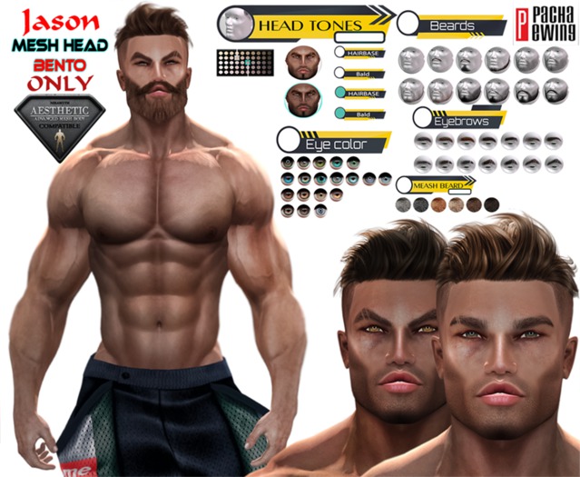 Second Life Marketplace - Aesthetic -PachaEwing- Mesh Head_Jason_ BENTO ...