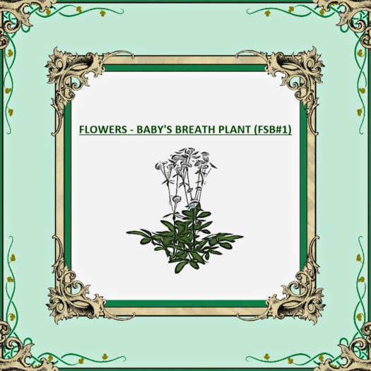 Second Life Marketplace - DFS FLOWERS BABY'S BREATH PLANT (FSB#1) TEXTURE