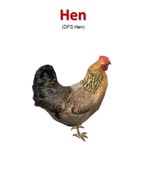 Second Life Marketplace - DFS Hen (Texture)