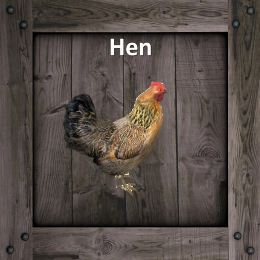 Second Life Marketplace - DFS Hen (Texture)