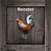Second Life Marketplace - DFS Rooster (DFS - Texture Only)