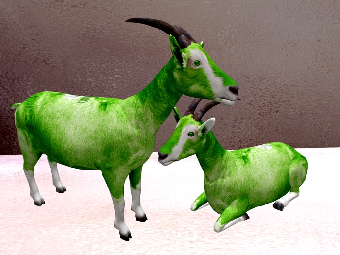 Second Life Marketplace - Picture Epric Shamrock Goats - BOXED
