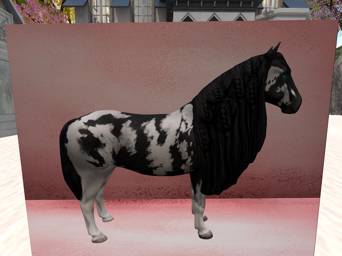 Second Life Marketplace - Picture Horse Criollo