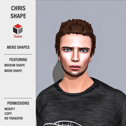 Second Life Marketplace - Sloane . Shapes . Chris Demo