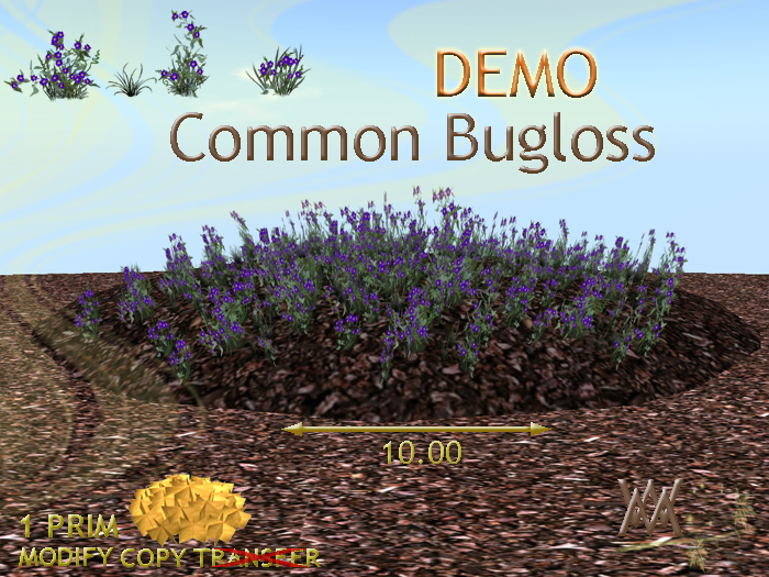 Second Life Marketplace - Plant FF s3. Common Bugloss by Wild Motley DEMO
