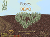 Second Life Marketplace - Plant FF s2. Rose Heart, white by Wild Motley ...
