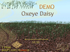 Second Life Marketplace - Plant FF 8. Oxeye Daisy by Wild Motley DEMO