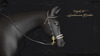 Second Life Marketplace - Cheval D'or / TeeglePet Arabian / Hackamore ...
