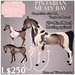 Second Life Marketplace - TEEGLEPET SKIN: PINTABIAN: Mealy Bay [add me]
