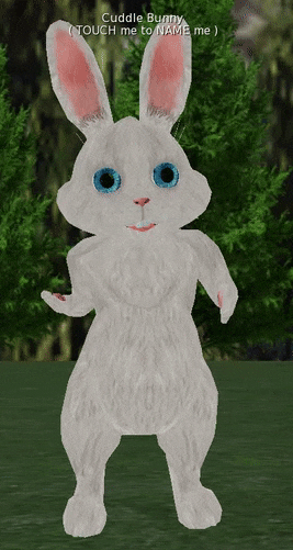 Second Life Marketplace - *PROMO* Animated-Mesh Dancing BUNNY