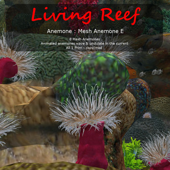 Second Life Marketplace - Inochi Reef - Mesh Anemone E