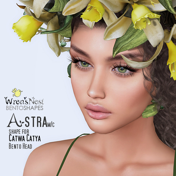 Second Life Marketplace - { wren's nest } Astra DEMO Shape for Catwa ...