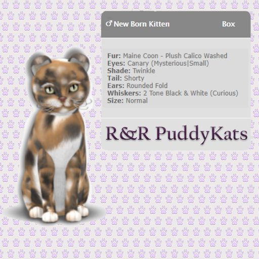 Second Life Marketplace Kittycats New Born Kitten Box Maine Coon 6753