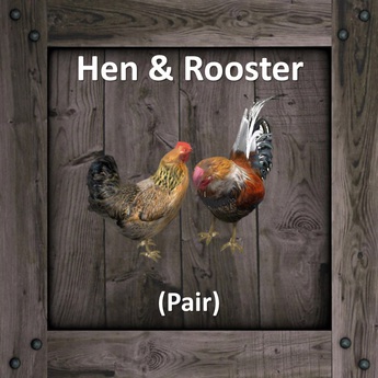 Second Life Marketplace - DFS Hen & DFS Rooster (Texture)