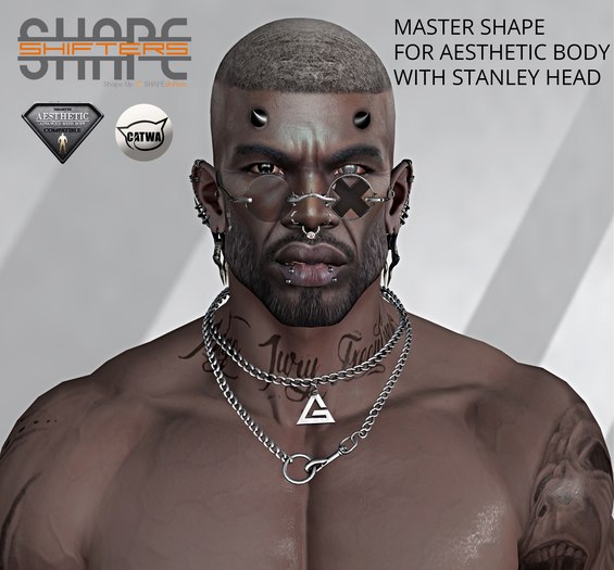 Second Life Marketplace - [SHAPEshifters] MASTER SHAPE FOR AESTHETIC ...