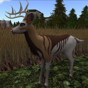 Second Life Marketplace - +RRD+ TWI Deer Coco mod