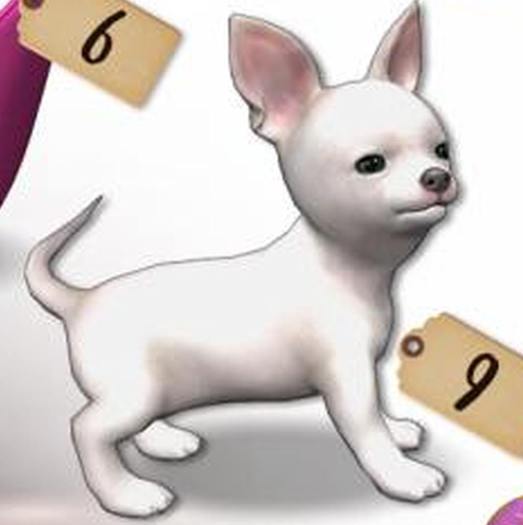 Second Life Marketplace - [Rezz Room] Pack Chihuahua Watchout - Gacha ...