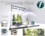 Second Life Marketplace Friller Cannabis Plant Set