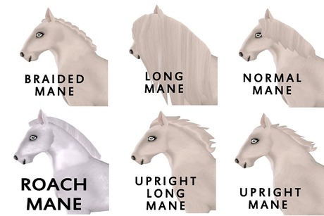 Second Life Marketplace - Female, Brown Dapple Percheron, Star Spangled ...