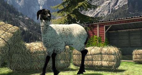 Second Life Marketplace - [Feral Reflect] TWI Deer Sheep Mod Black and ...