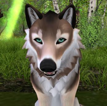 Second Life Marketplace - ~S.S~ TWI Wolf Applier - Java