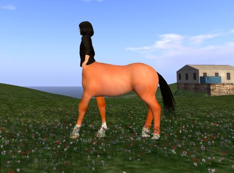 Second Life Marketplace - Centaur body Type4
