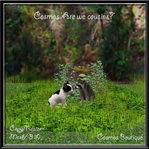 Second Life Marketplace - Cosmos 'Are we cousins?' (BOX)