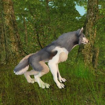 Second Life Marketplace - KZK Dire Wolf Texture Applier - Light wolf