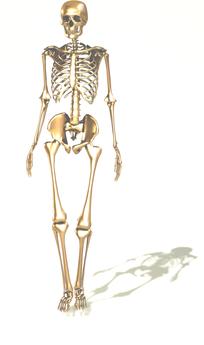 Second Life Marketplace - High Society Halloween Gacha - Gold Skeleton ...