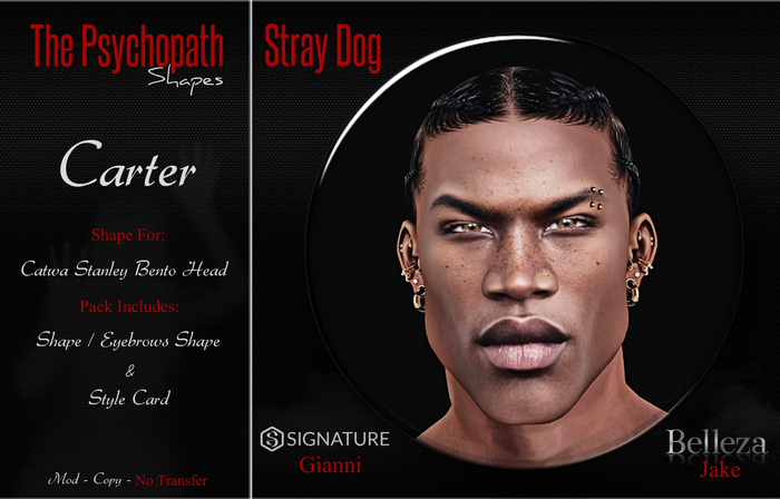 Second Life Marketplace - [ Carter Shape ] - For Catwa Stanley Bento Head