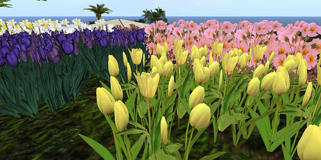 Second Life Marketplace - WoW 23 Spring Flowers