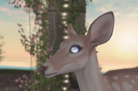 Second Life Marketplace - Natural fallow deer mod