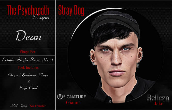 Second Life Marketplace - DEMO [ Dean Shape ] Lelutka Skyler Head - By ...