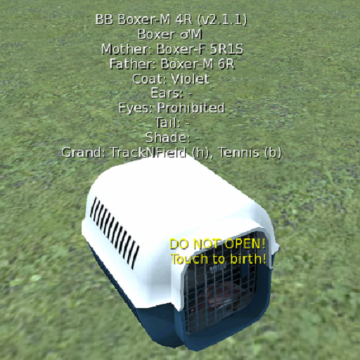 Second Life Marketplace - BB Boxer Male - 4 Rare Traits