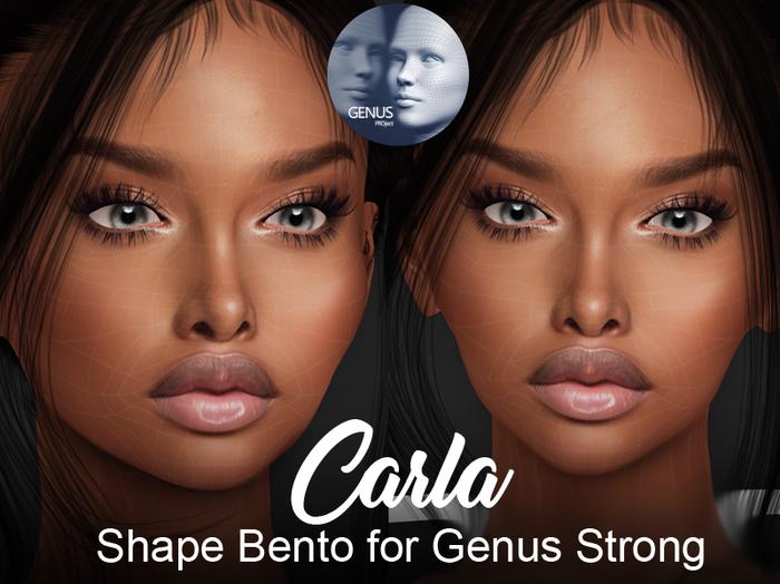 Second Life Marketplace - {Bambi} - Carla Bento - SHAPE (GENUS Strong Face)