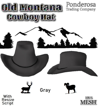 Second Life Marketplace - Old Montana Hat - Gray