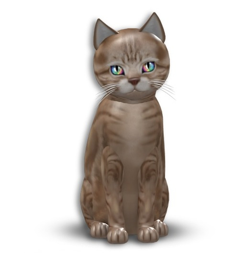 Second Life Marketplace - KittyCatS box - American Shorthair - Cream Tabby